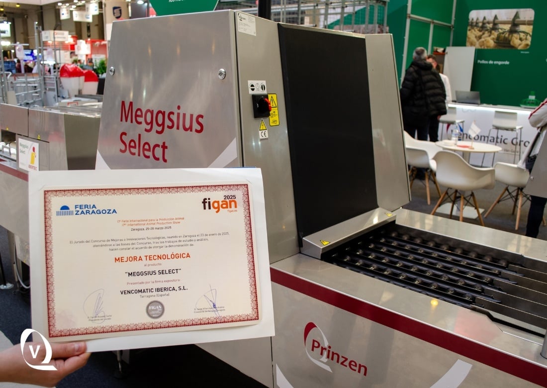Recognized for its innovation: discover the Meggsius family
